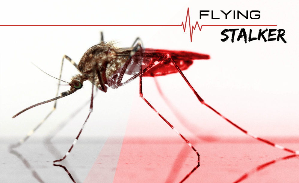 Flying Stalker – Short Poem – aRtVerse