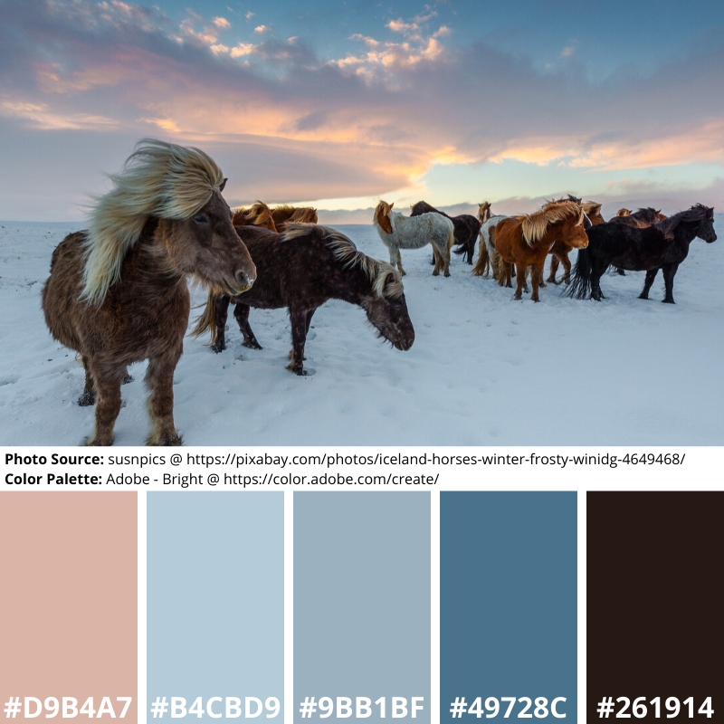 Free Mood Boards: Horse Themed – aRtVerse