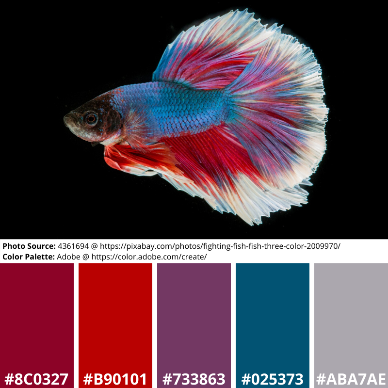 Free Mood Boards: Vibrant Fish Themed – aRtVerse