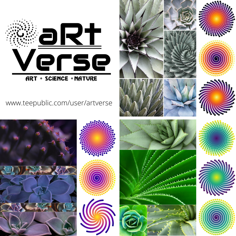 Phyllotaxis: Maths creates Beauty & Symmetry in Nature + Free Collages ...