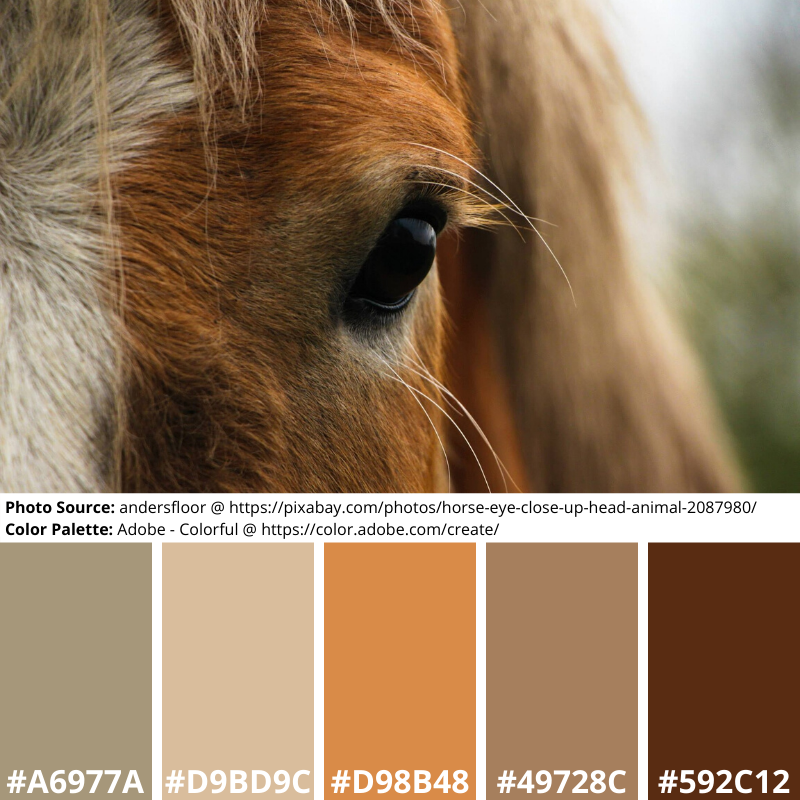 Free Mood Boards: Horse Themed – aRtVerse