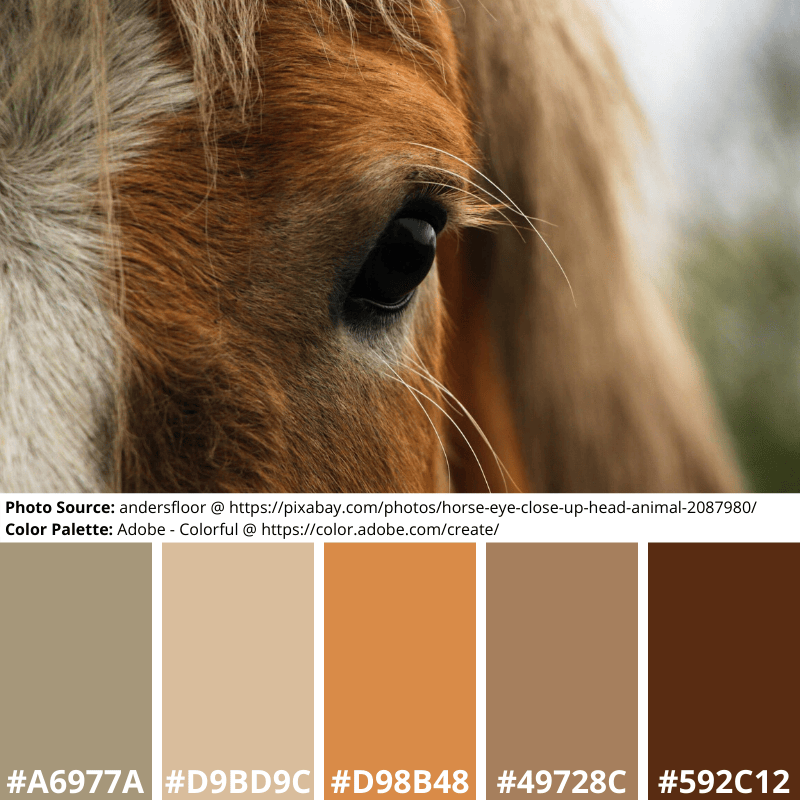 Free Mood Boards: Horse Themed – aRtVerse