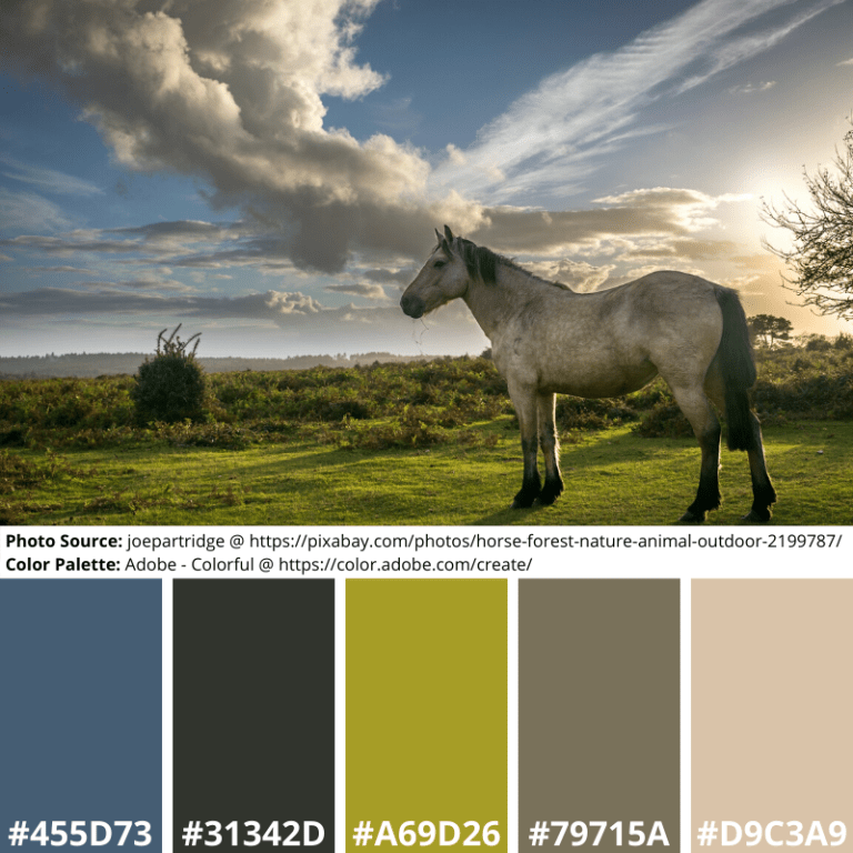 Free Mood Boards: Horse Themed – aRtVerse