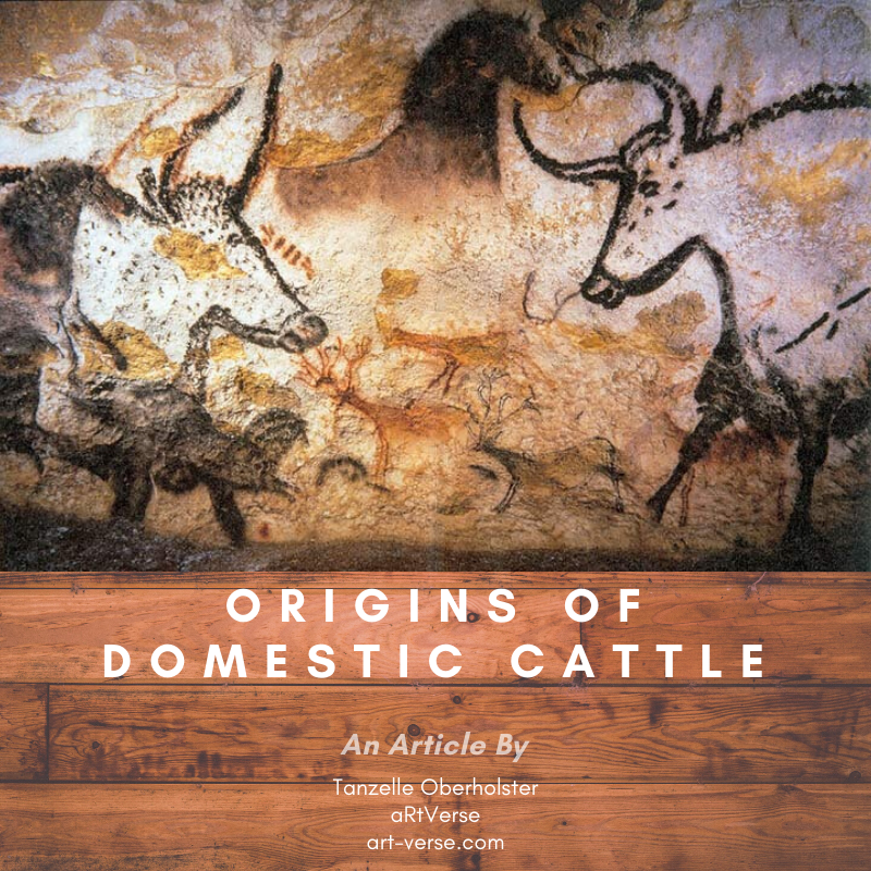 Origins of Domestic Cattle: Migration patterns & Speciation events ...