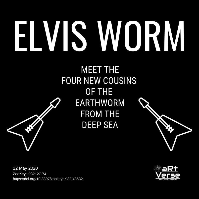 Elvis Worms Infographic: The Earthworm’s Four New Cousins – aRtVerse
